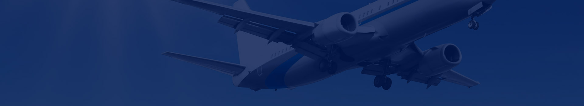 About Us - Aerowings Support Services